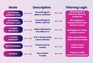 DISGENET v25.2 What's New? | Gene-Disease Association Database